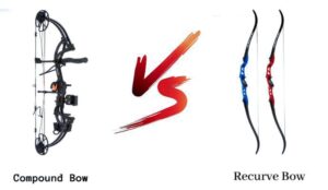 Compound Vs Recurve Bows: A Comprehensive Comparison - TheCrossbowGuide